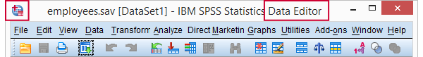 SPSS Data Editor Window